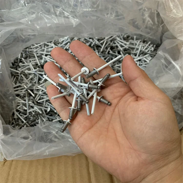 Painting Stainless Steel Pop Rivets - Small Pack 100 Pc/bag - Buy ...