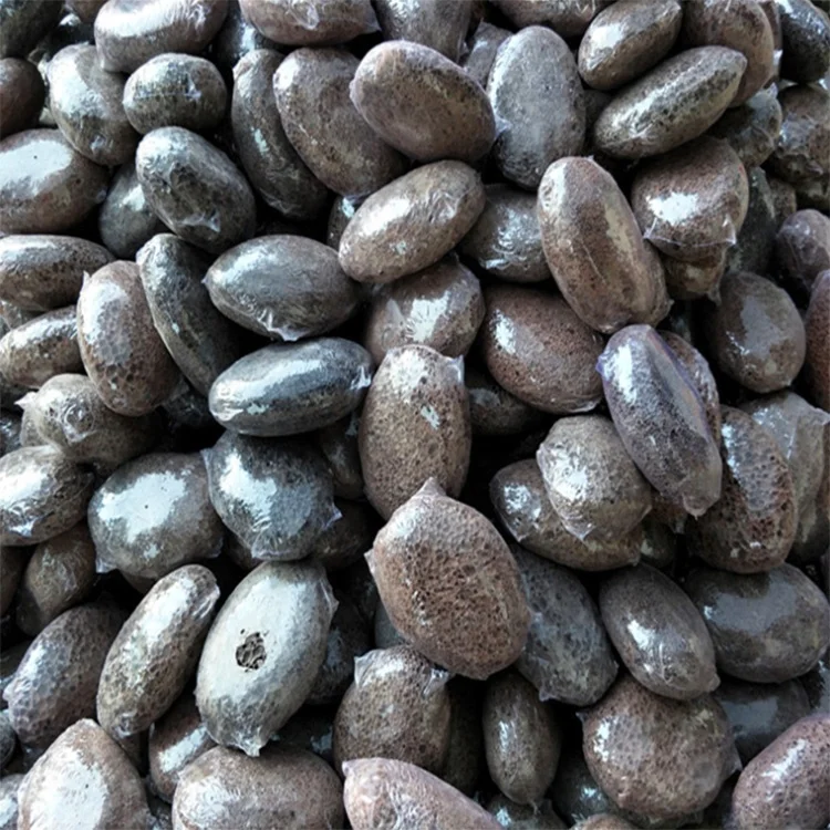 Natural Volcanic Pumice Stone with OEM Package Natural Earth lava ...