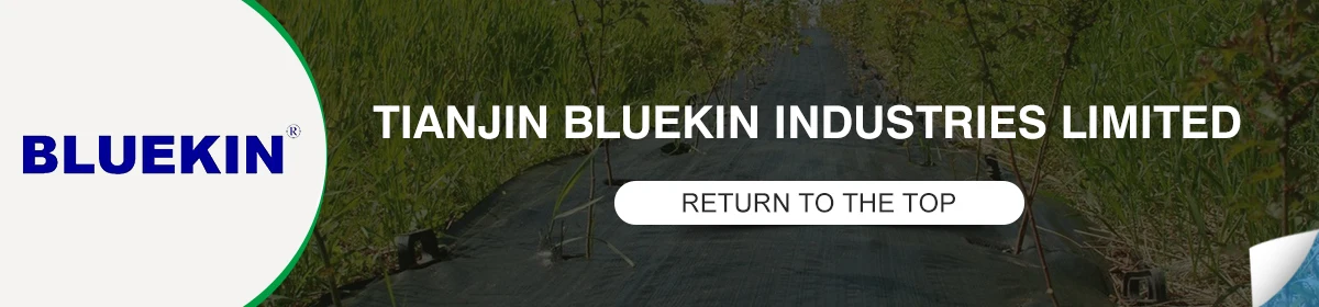 Company Overview - Tianjin Bluekin Industries Limited