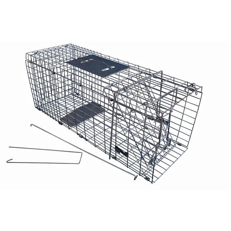 Large Live Animal Trap Catch Release Humane Rodent Cage Foldable Humane ...