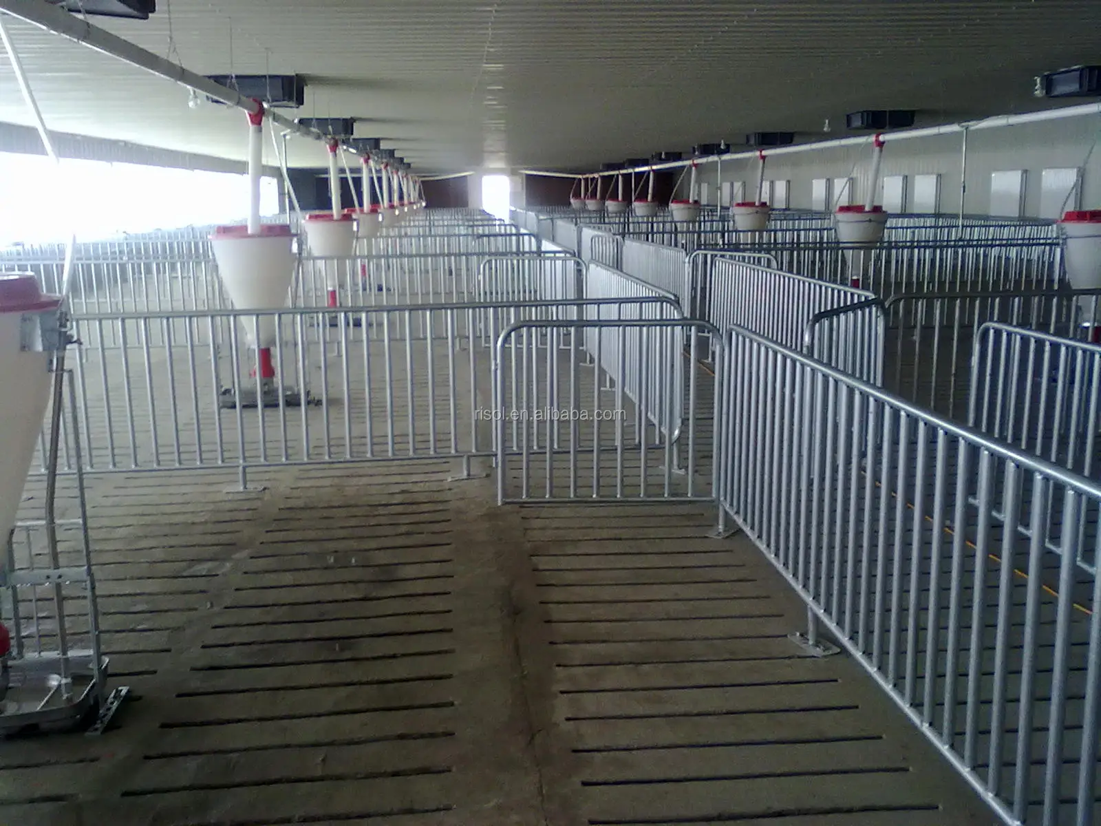 Durable Pig Cages - Hot Dip Galvanized Mating Animal Cages
