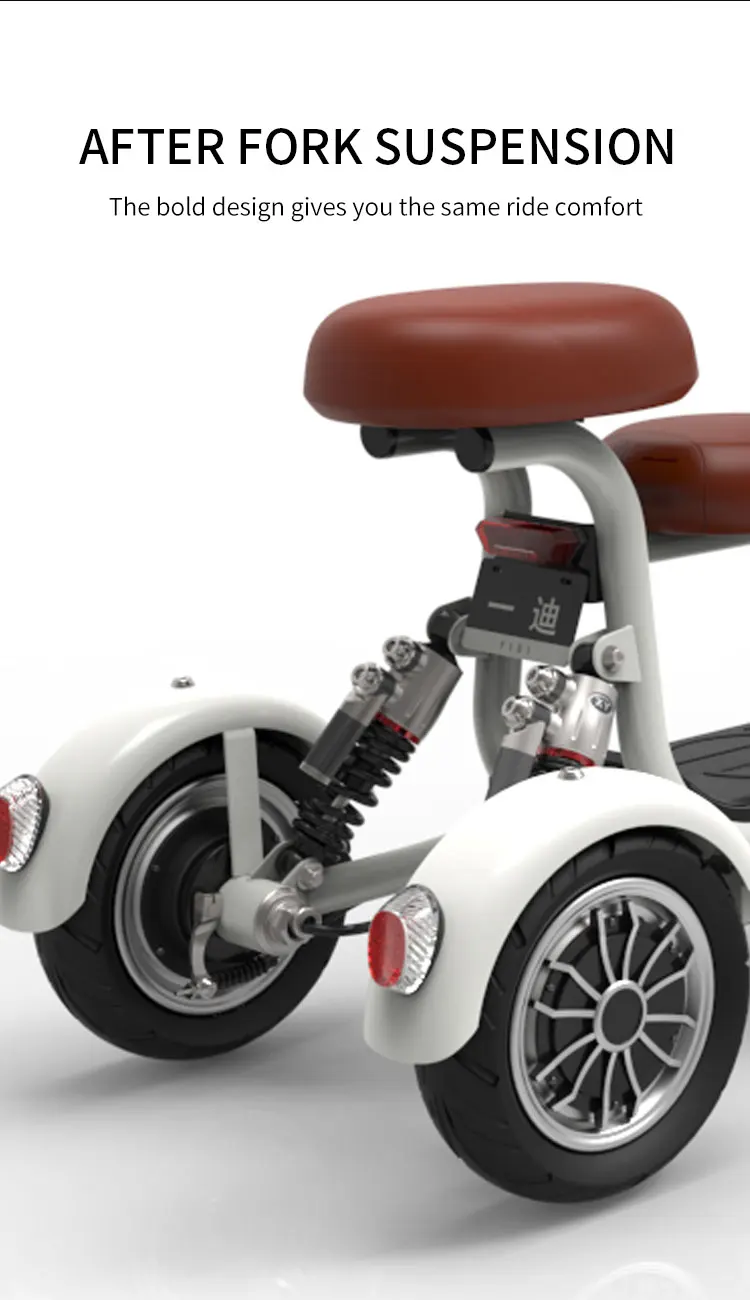 3 Wheel Electric Tricycle 400W E Bike for Adults - 48V Lithium Battery