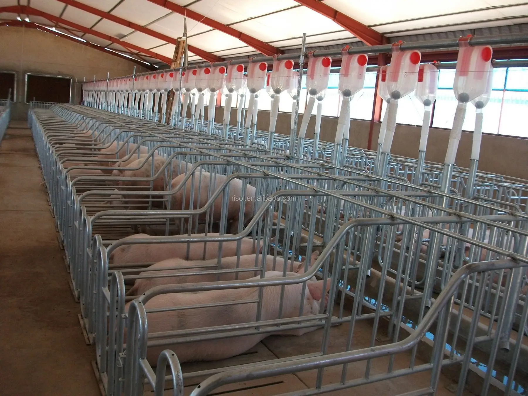 Plastic Feeder Doser For Pig Automatic Feeding System Pig Feed ...