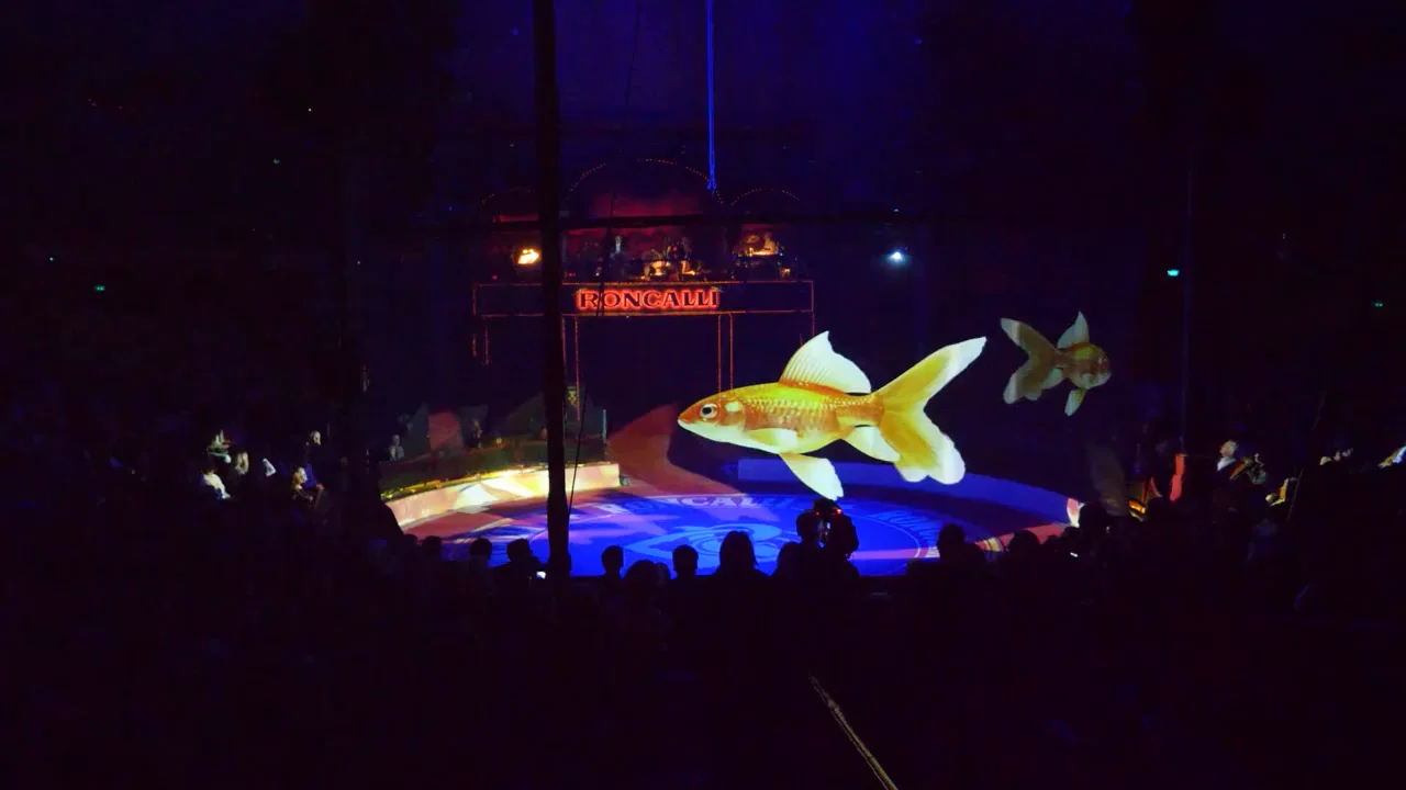 사용자 정의 크기 홀로그램 메쉬 스크린홀로 거즈 최고의 3d 플로팅 이미지 Buy 홀로그램 스크린 메쉬홀로그램 커튼홀로 거즈 Product On