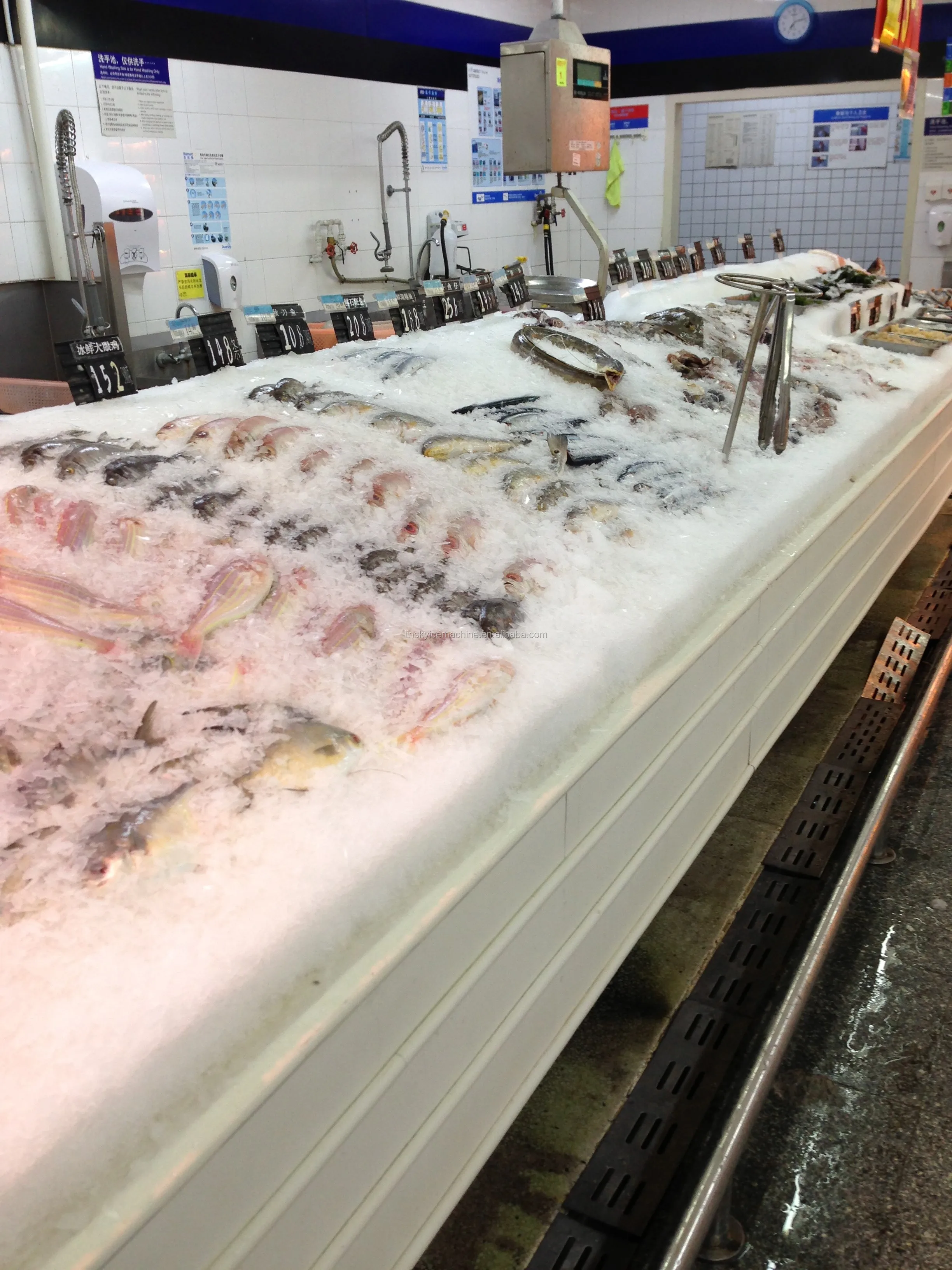 300kg/24hr Comercial Icemaker Ice Fishing Ice Maker 220v - Buy Ice ...