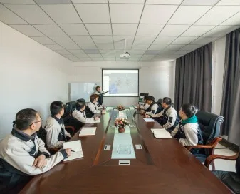 Shanghai SorTek Environmental Technologies Co.,Ltd - Eddy current ...