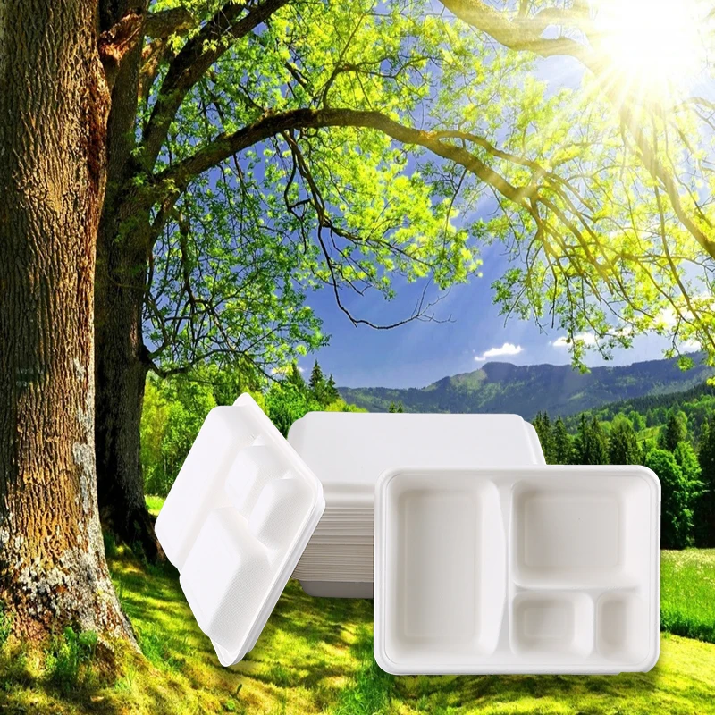 100% Biodegradable Sugar Cane Fiber Heavy Duty 5-compartment Tray Paper ...