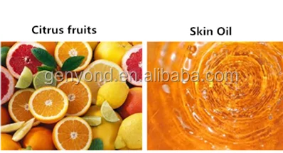 Citrus Fruits Peel Essential Oil Extracting Machine - GENYOND