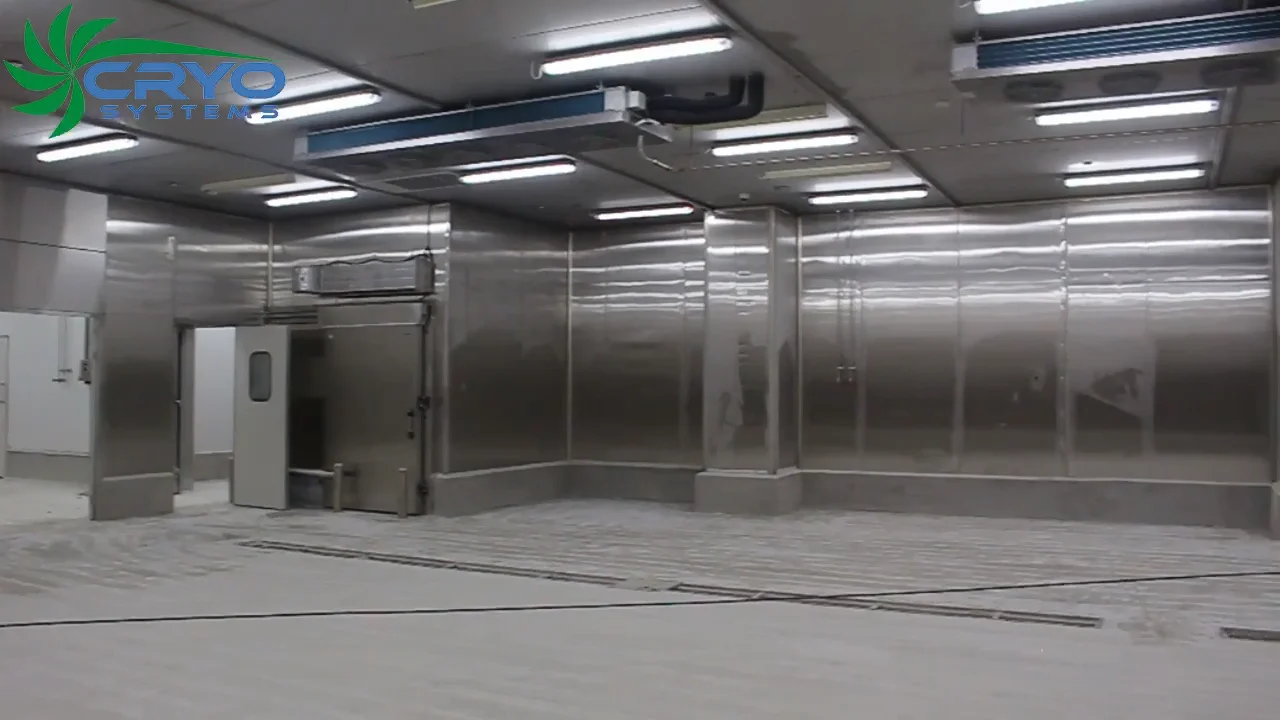 Cold Chain Storage Rooms Commercial Negative Mini Chambre Froide ...