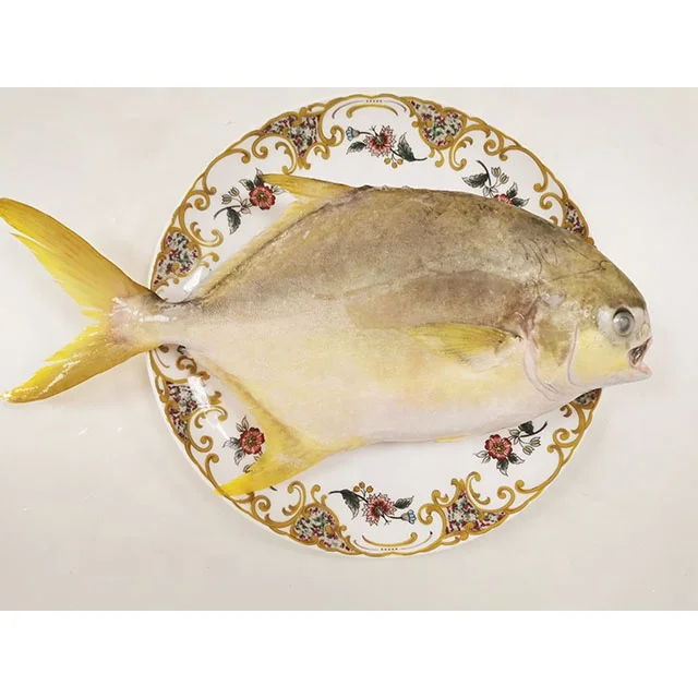Cheap Frozen Seafood Fish Golden Pompano Exporter| Alibaba.com