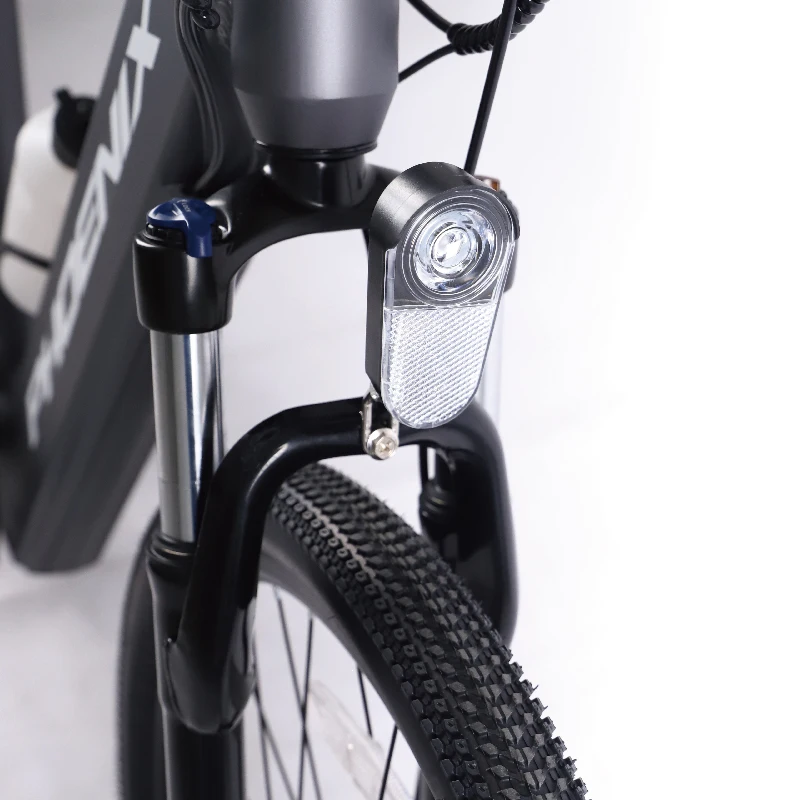 2021 Phoenix E Bike Ye20s2705d 7speed Hot Selling 36v 10.4ah Internal ...