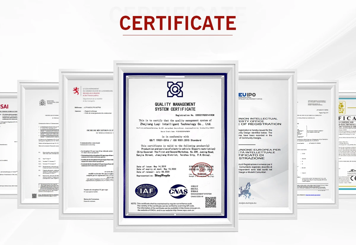 Company Overview - Zhejiang Luqi Intelligent Technology Co., Ltd.