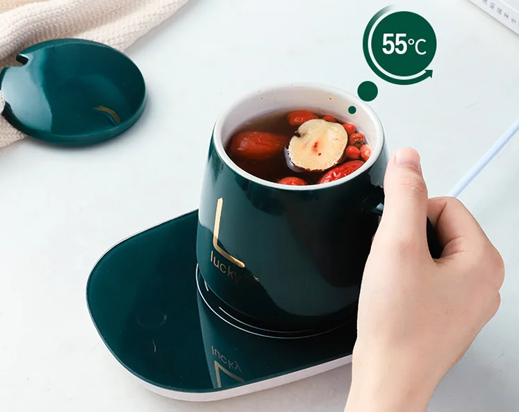 Thermostat Thermos Heated Self Heating Cup Temperature Control Smart ...