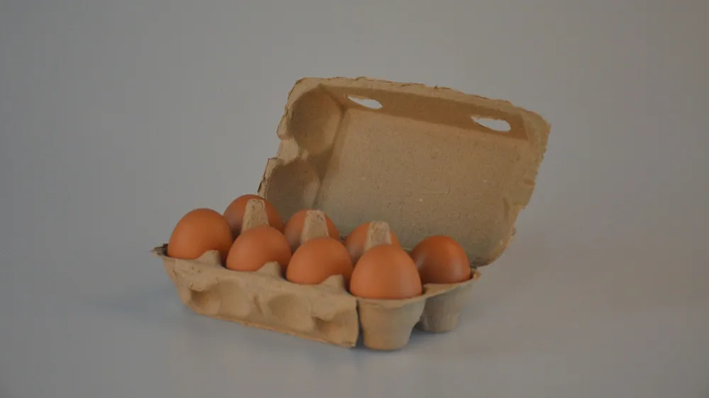 White 10 Eggs Protection Egg Corrugated Pulp White Pulp Environmental ...