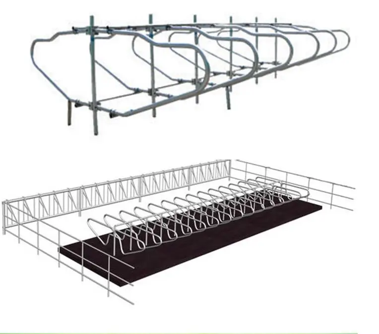 Cow Free Stall - Efficient Dairy Cattle Housing Solutions