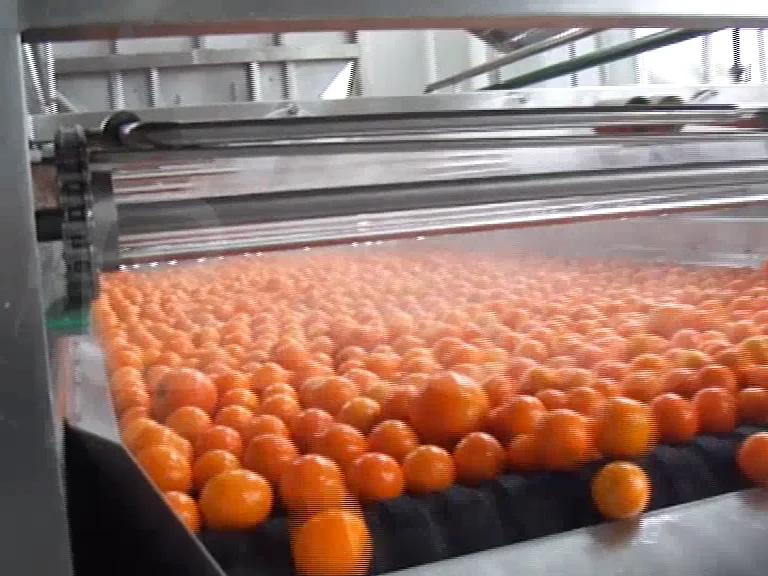 Industrial Citrus Press Machine Automatic Fruit Juice Processing ...