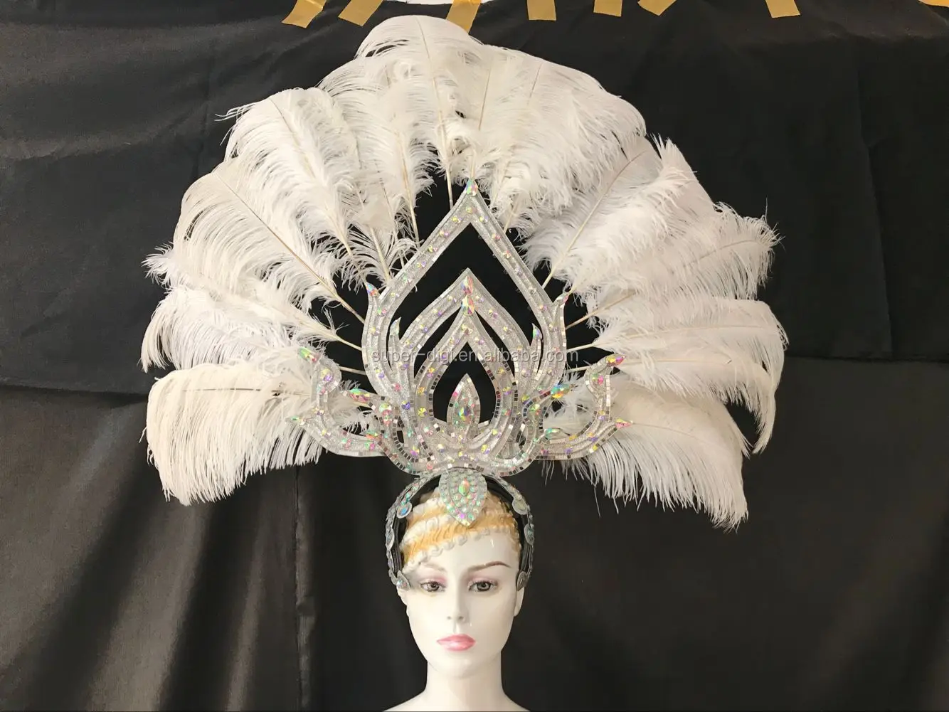 Samba danse scène performance costume autruche plume ailes ouverture ...