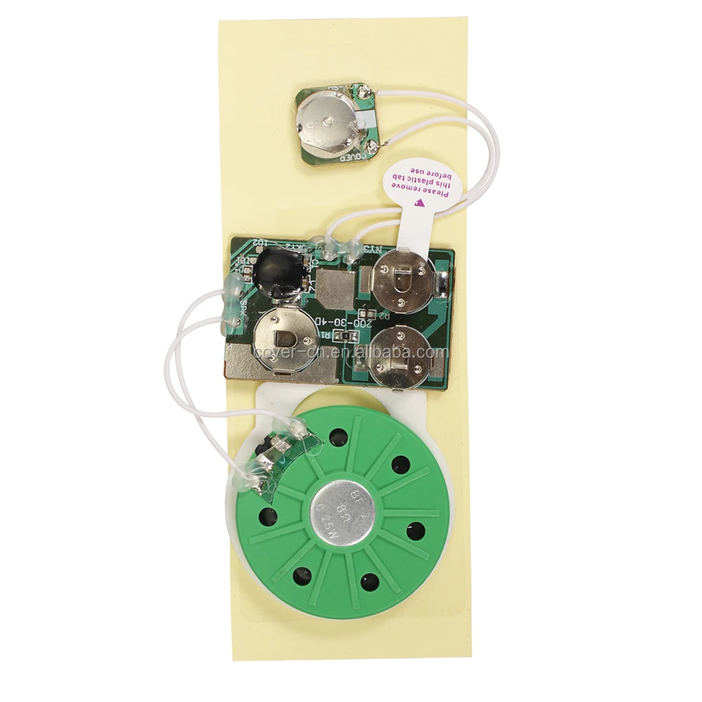 Custom Downloadable Audio Pre-recorded Messages Voice Program Usb ...