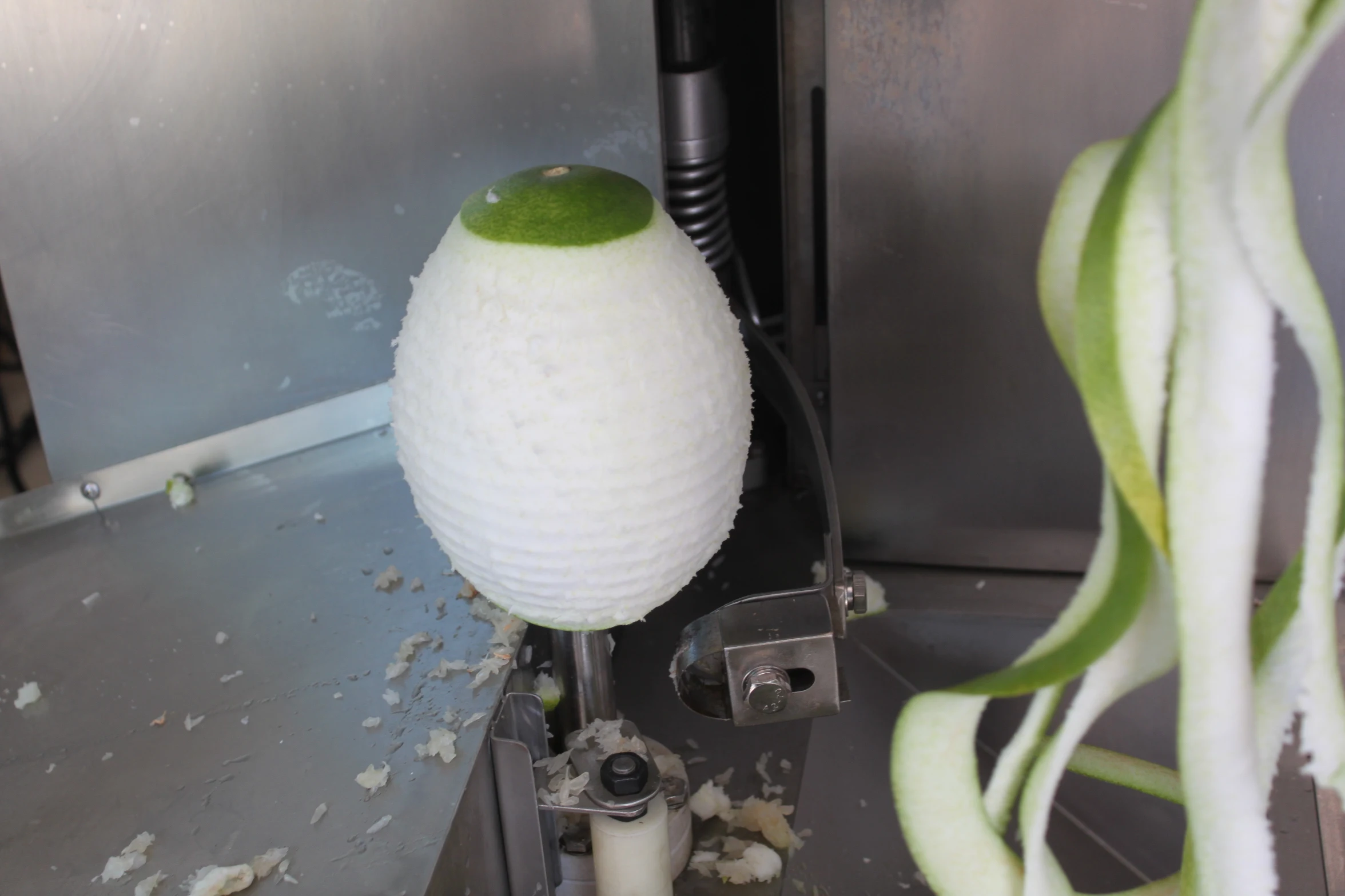 FXP-66 Electric Pumpkin Skin Peeler - High Efficiency