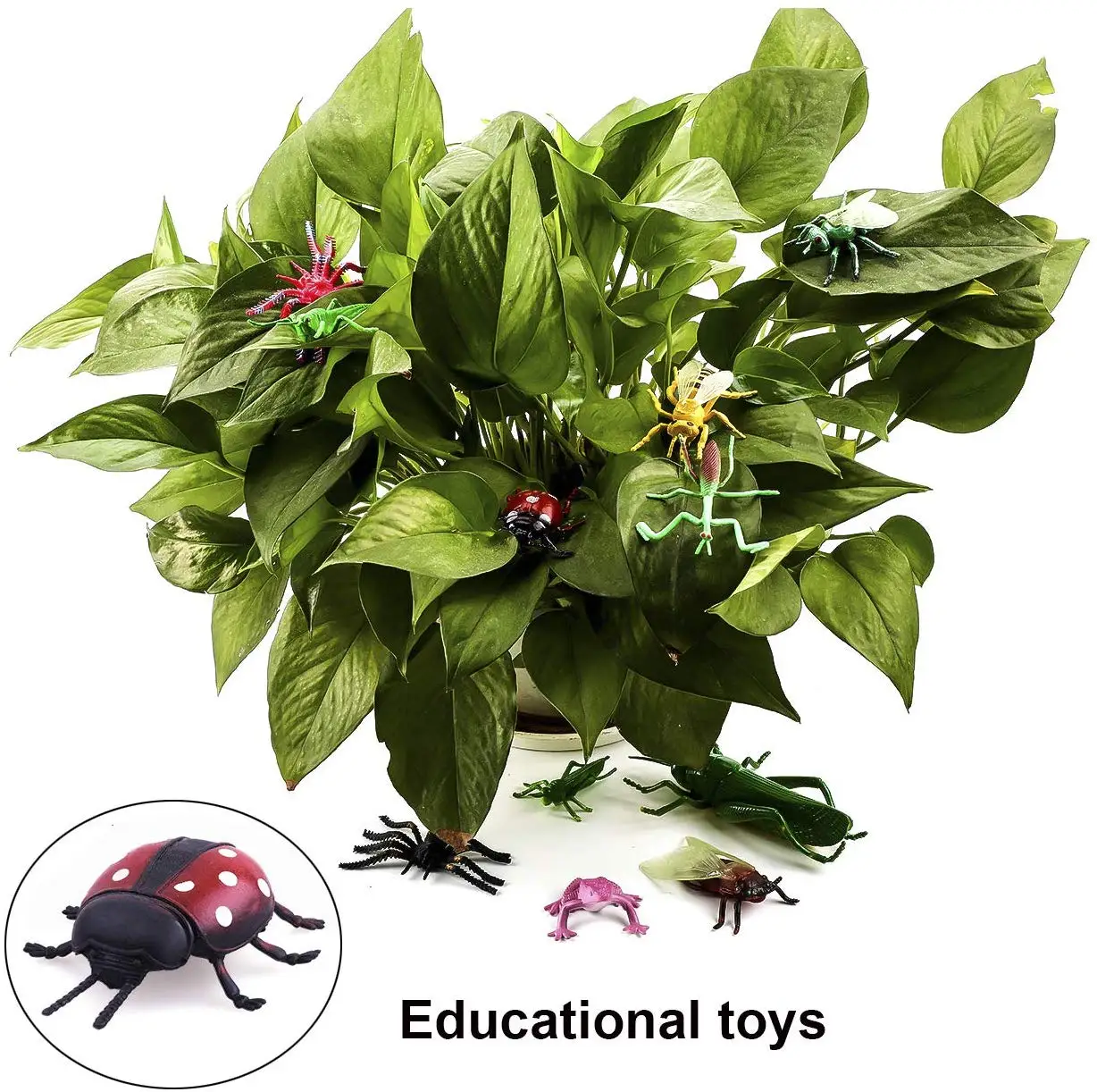 Random Plastic Insects Bug Toys for Kids - Fun & Education