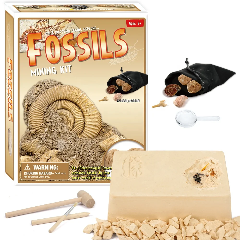 Toy Fossil Kit at Sheila Tejada blog
