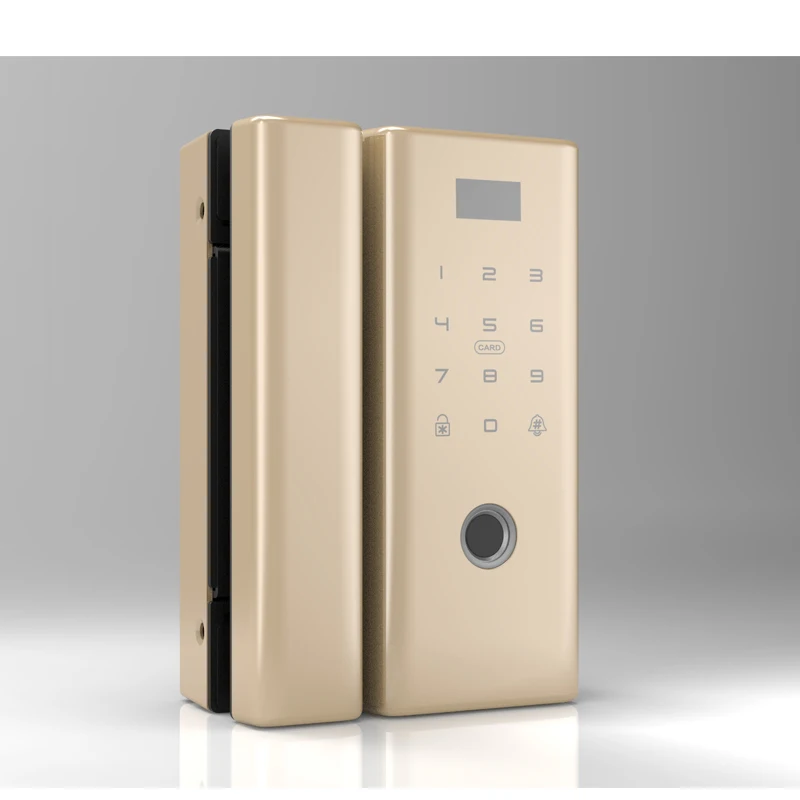 Fingerprint Sliding Glass Door Lock Wifi Tuya App Remote Unlock Smart ...