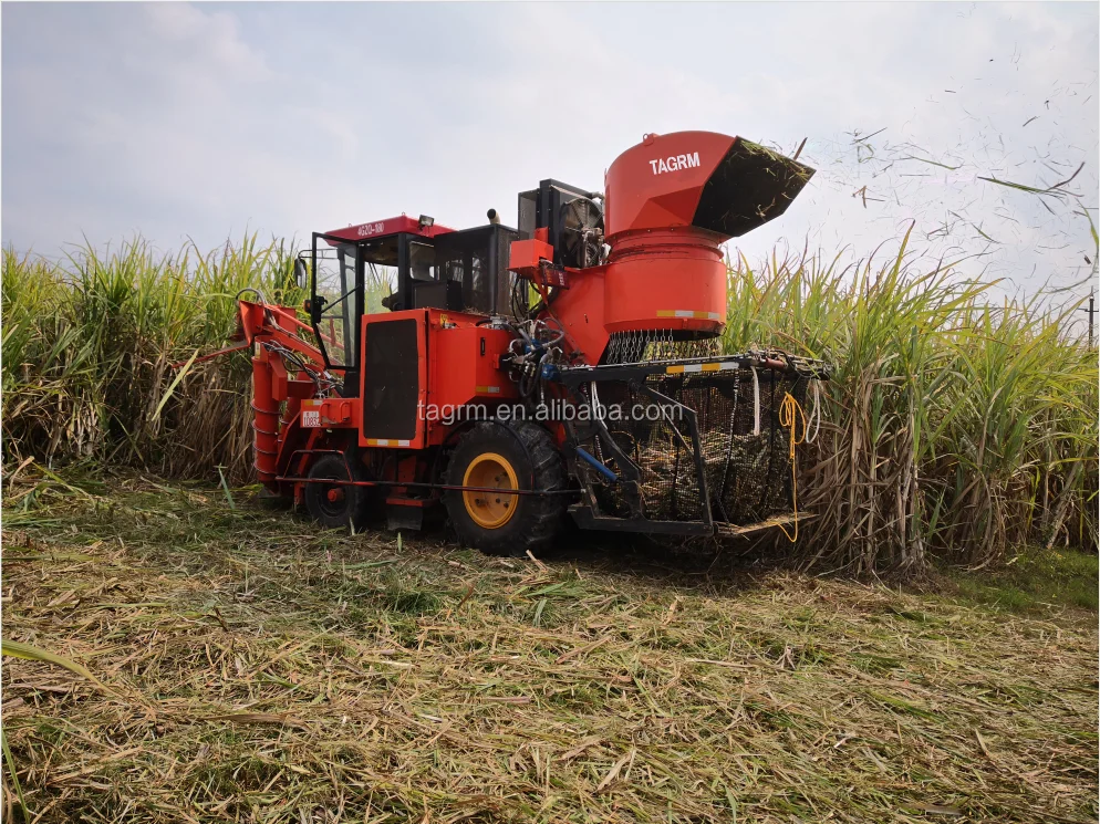 Sugar Cane Low Price Cutting Chopper Machine Fruit Farm Used Harvester ...