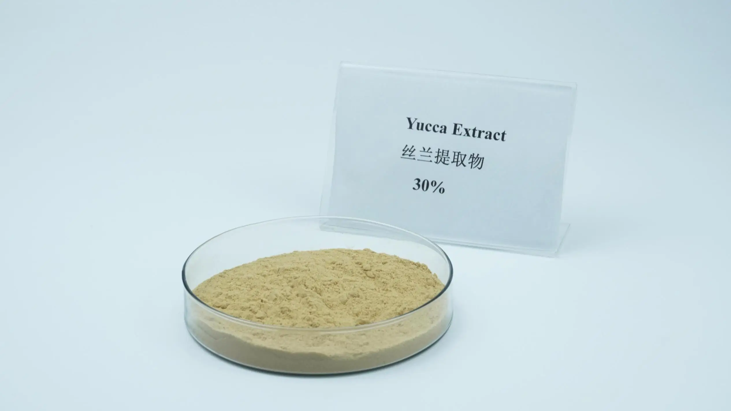 Wholesale Price Kanna Extract Sceletium Tortuosum 10:1 Kanna Plant ...