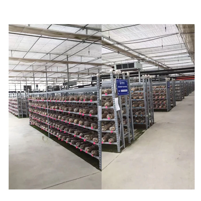 Bio-Tech Industry Roll Storage Mushroom Cultivation Shelf| Alibaba.com