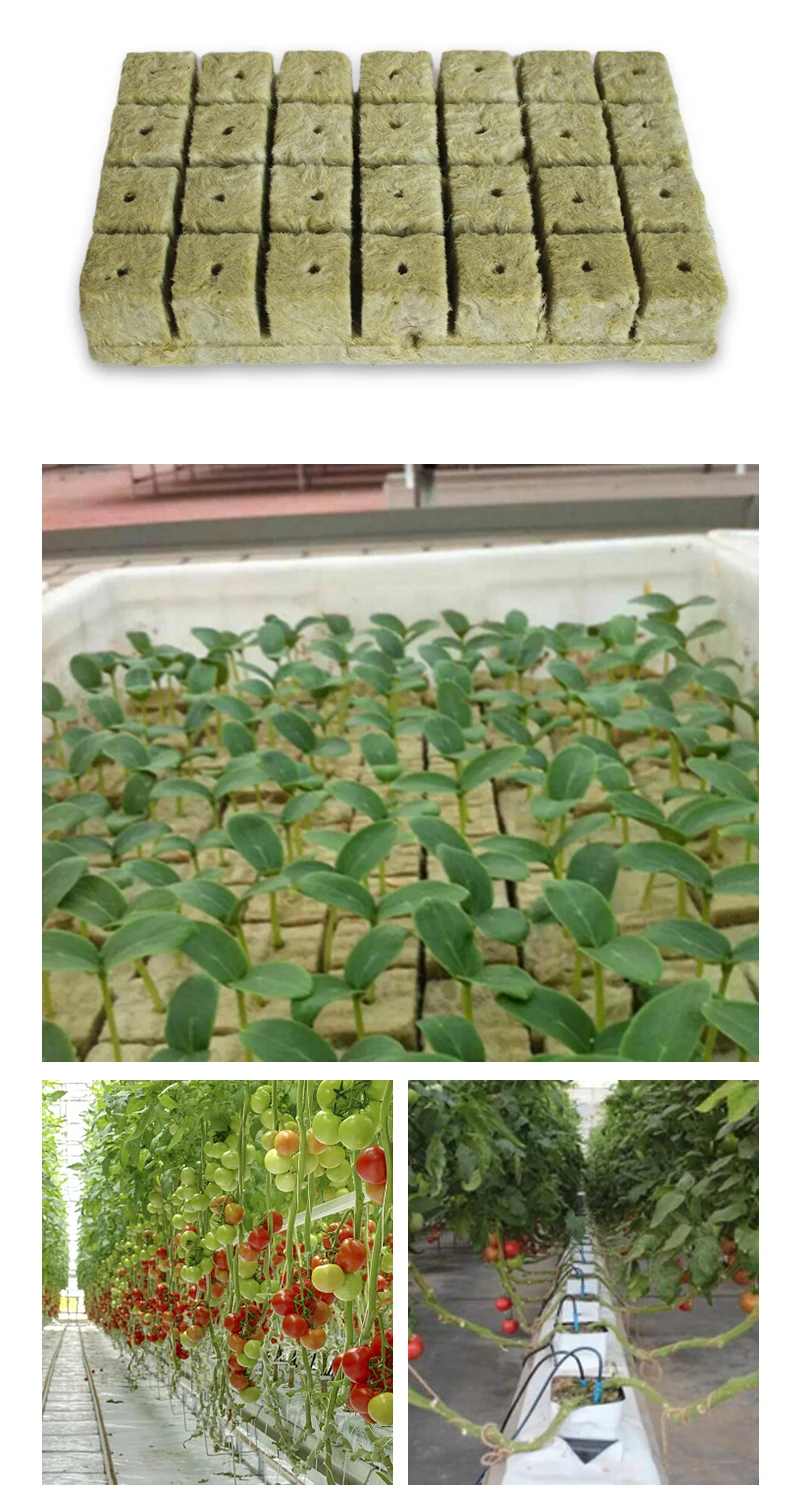 Starter Rockwool Hydroponics Systems 3.5cm Starter Plugs Cubes ...