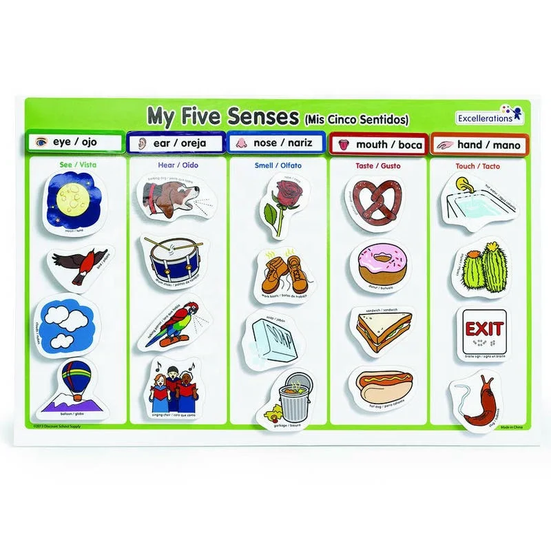 My 5 Senses Magnetic Activity Set, 12x 18 inches, Pack of 55 ...