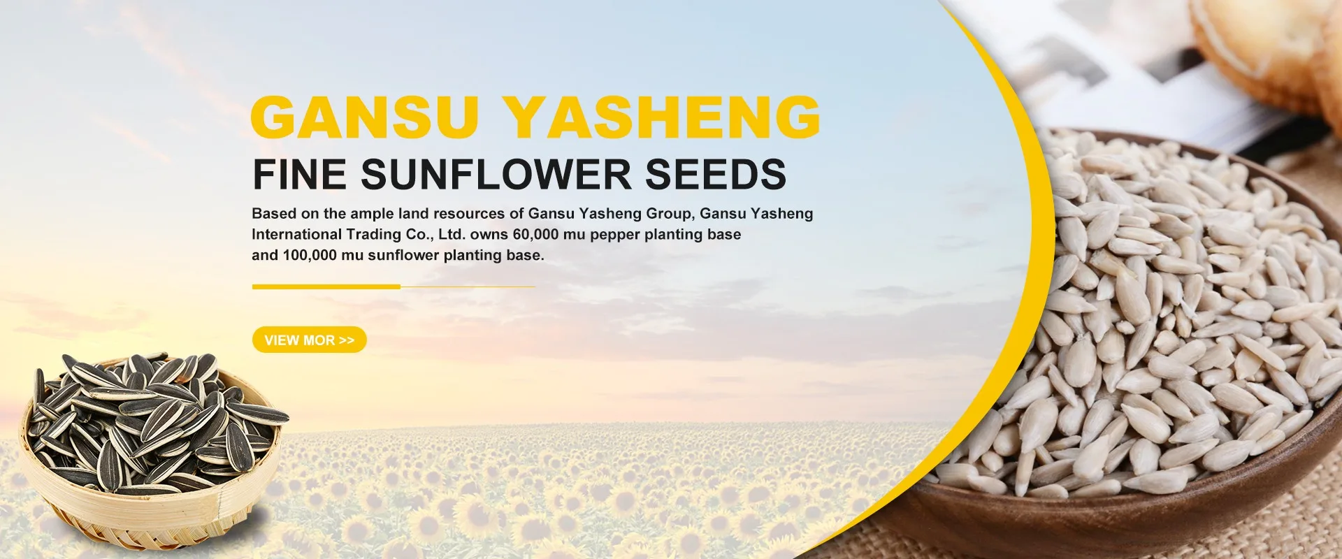 Gansu Yasheng International Trading Co., Ltd. - Sunflower Seed, Chili ...