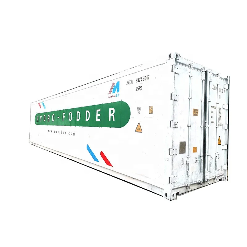 Shipping Container Farm Hydroponic Barley Sprout System for Fodder ...