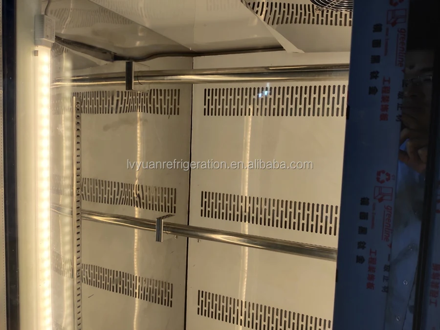 Beef Restaurant Dry Aging Chiller - Perfect for Meat Ager