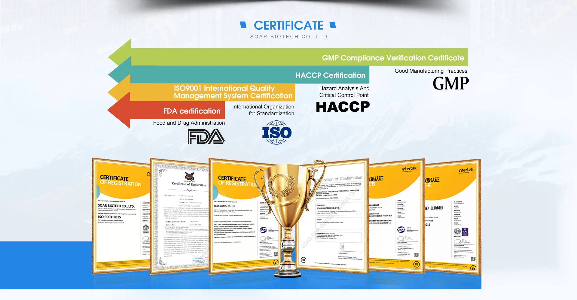 Company Overview - Soar Biotech Co., Ltd.