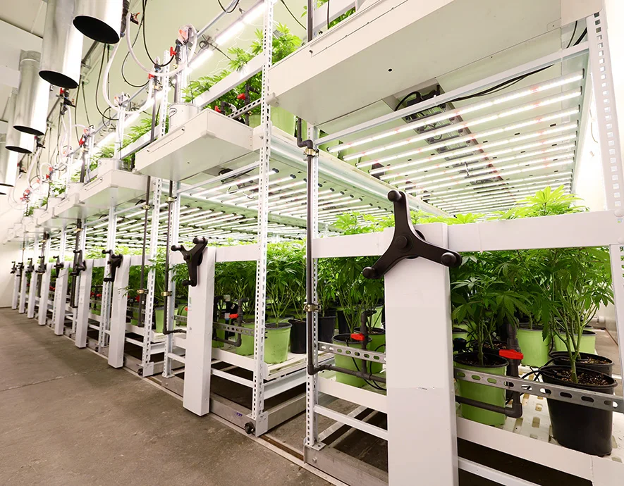 Multi Level Mobile Vertical Grow Racks For Greenhouse Mushroom - Buy ...