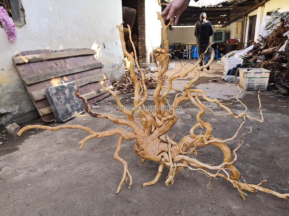 Purple Teak Driftwood for Aquarium - Natural Wood Decor