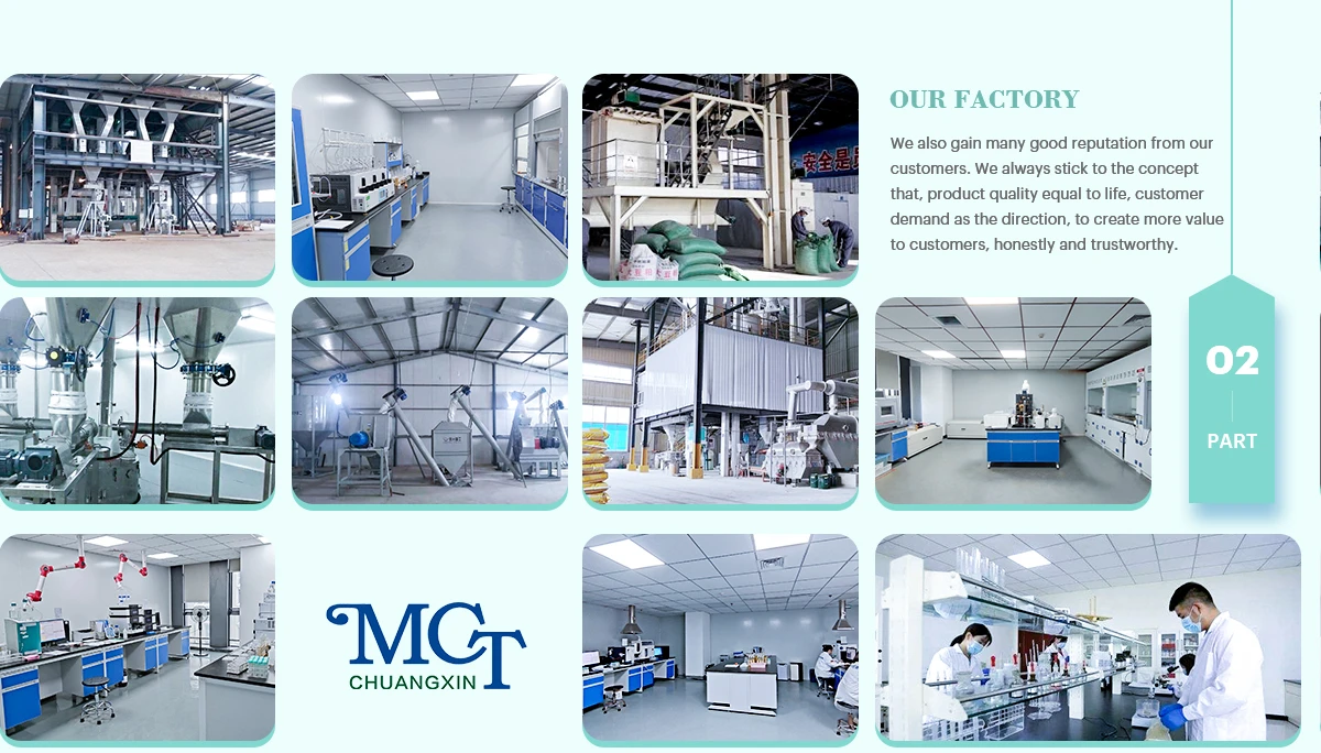 Zhengzhou MCT International Co., Ltd.