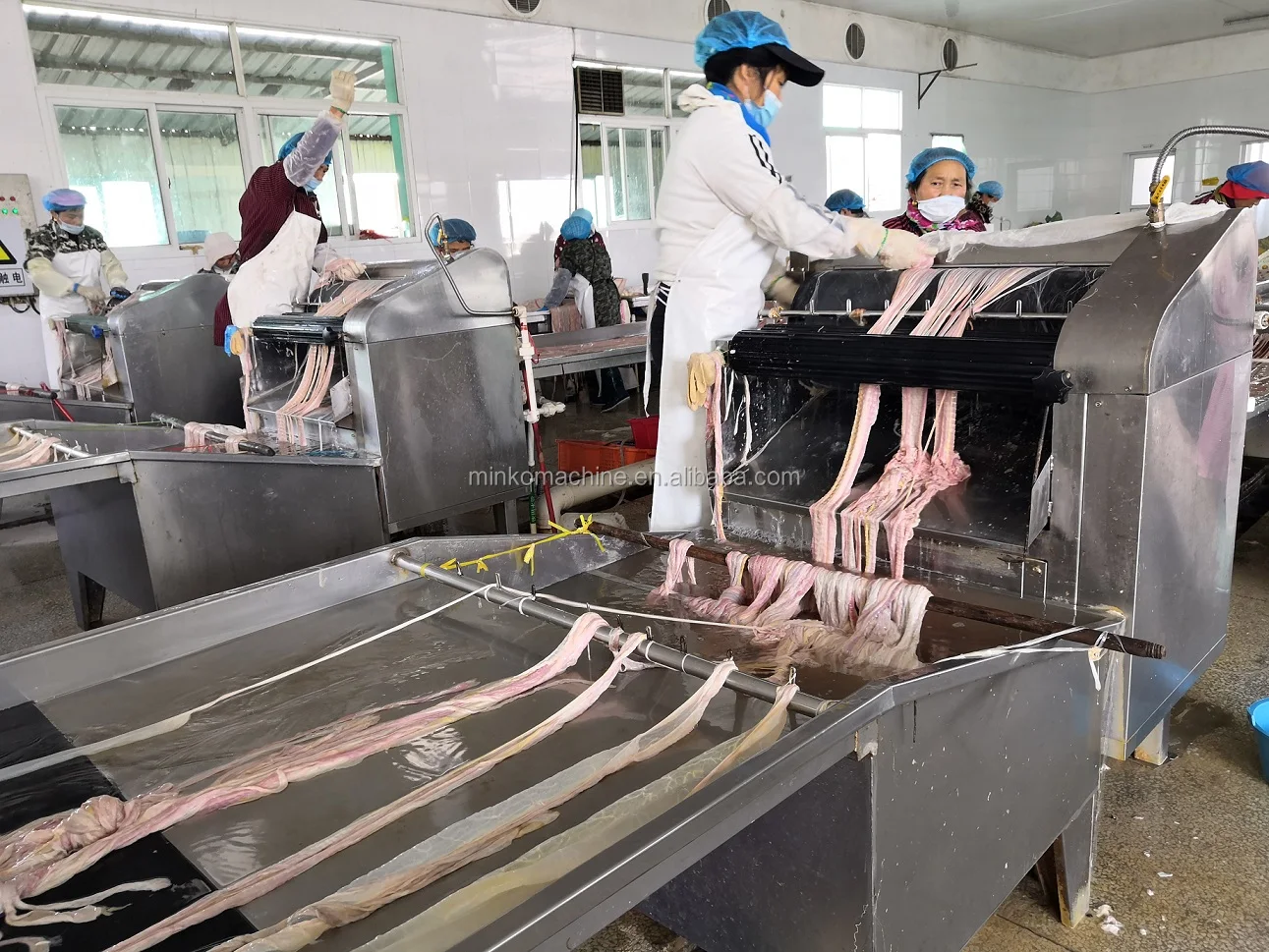 Sheep Intestine Hog Casings Cleaning Machine for Sausage Casings ...