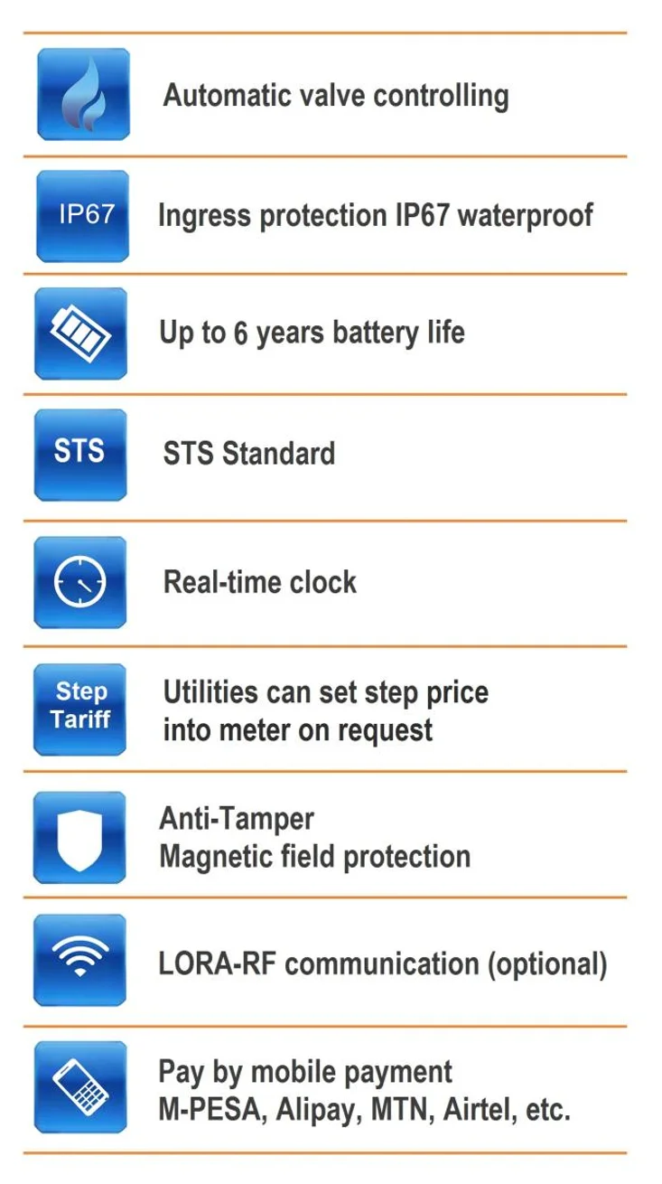 STS Prepaid Keypad Gas Meter with Free Vending Software