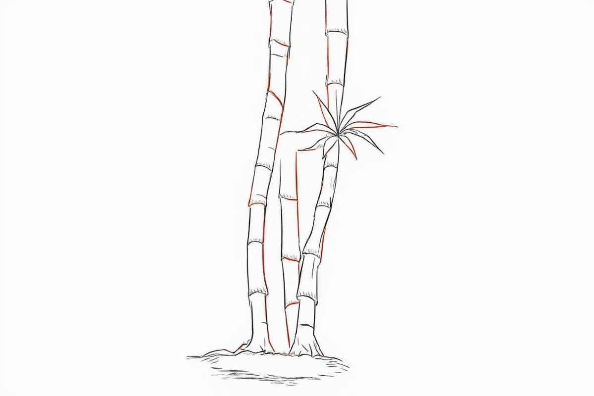 How to Draw a Bamboo Plant: Step-by-Step Guide