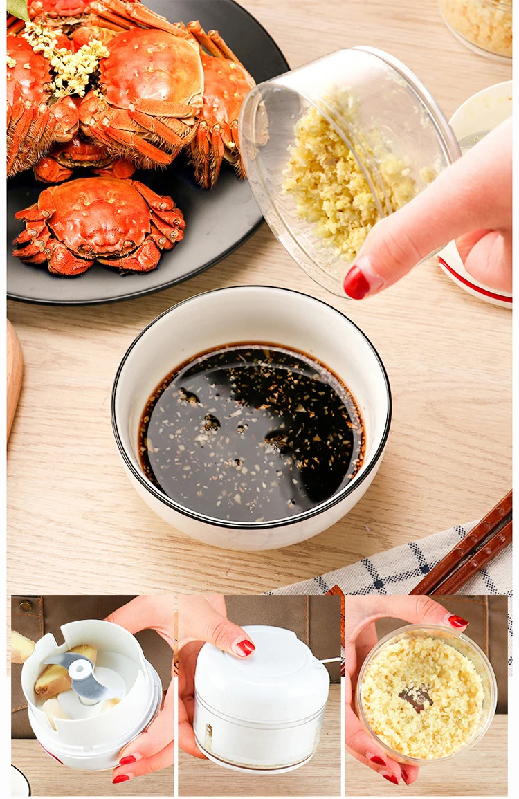 Mini Food Chopper Processor Mixer Blender Pepper Salt Garlic Seasoning ...