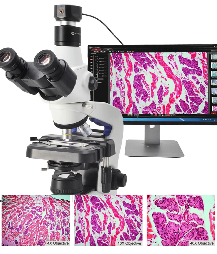 OPTO-EDU A59.4910-M05 - High Resolution CCD Camera for Microscope