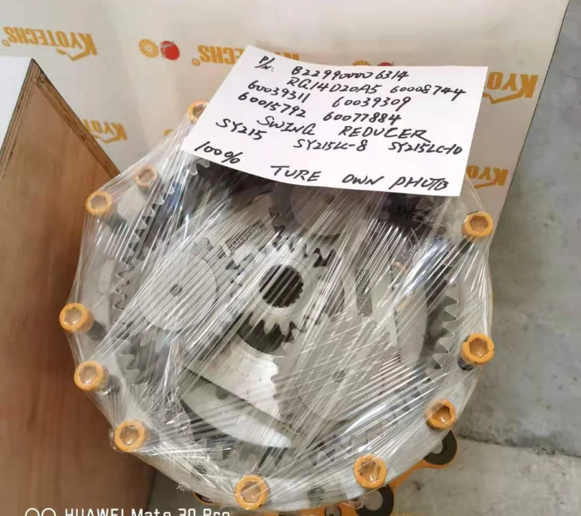 B229900006314 RG14D20A5 60008744 60039311 Swing Reducer for SY215