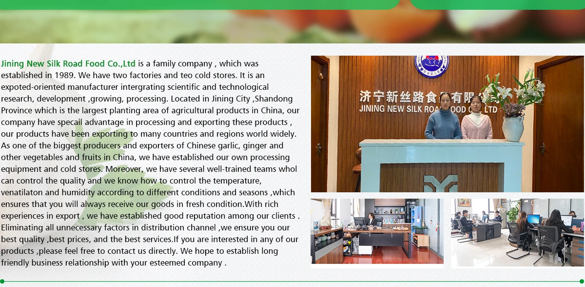 Jining New Silk Road Food Co., Ltd.
