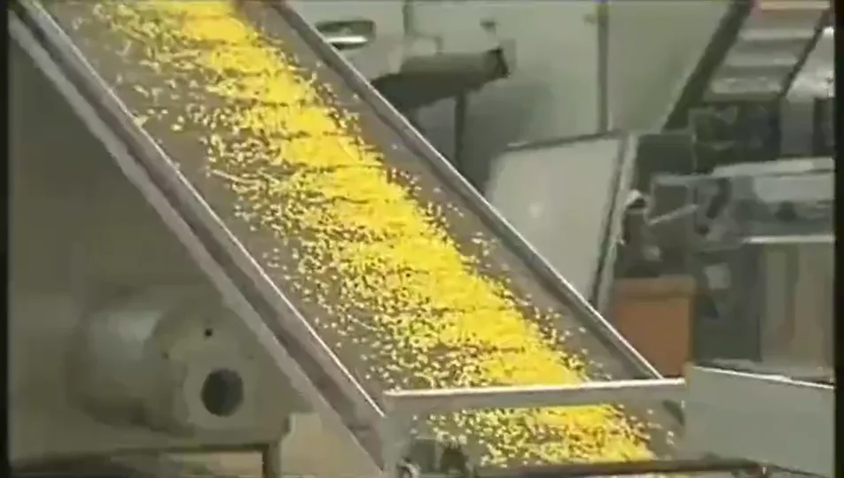 Triangle Corn Chips Making Machine Snack Food Making Machine Corn ...