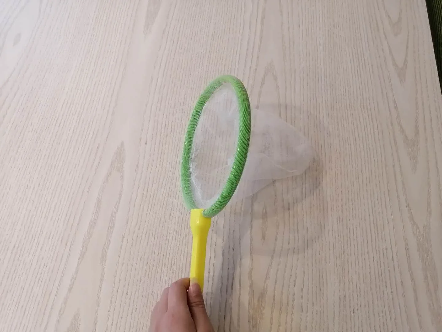 Filet Attrape-insectes Durable Pour Enfants,Filet De Collecte Des ...