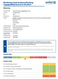 Company Overview - Hunan Chunlong Luggage&bag Co.,ltd.