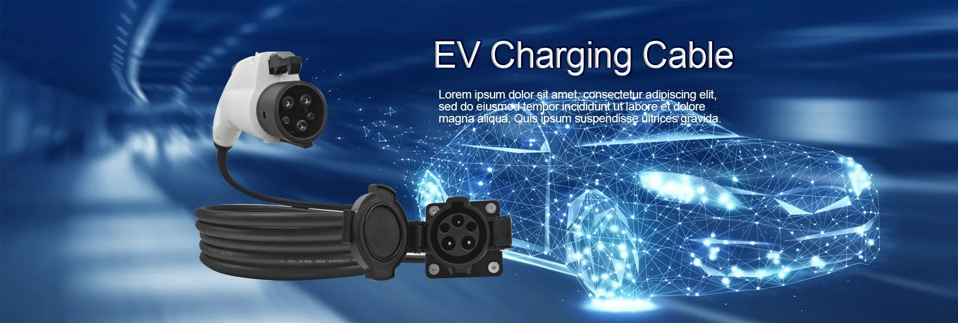 Ningbo Zhenjia Electric Co., Ltd. - string lights, power cord