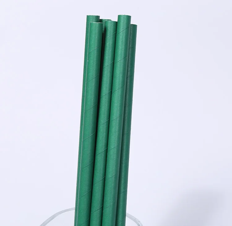 Dark Green Straws - Eco-Friendly Paper Drinking Straws